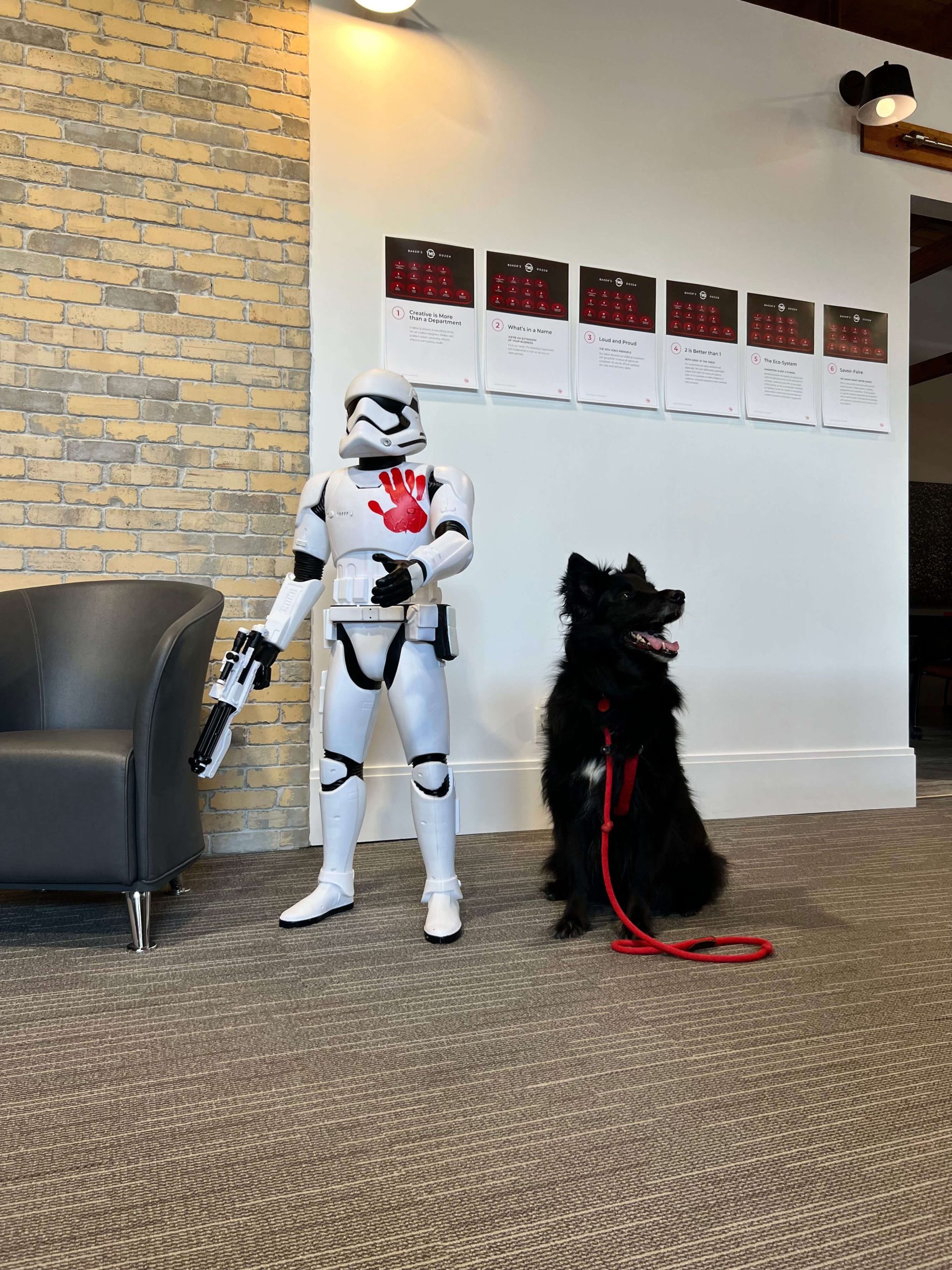 The Marketing Department (TMD) | Working At TMD