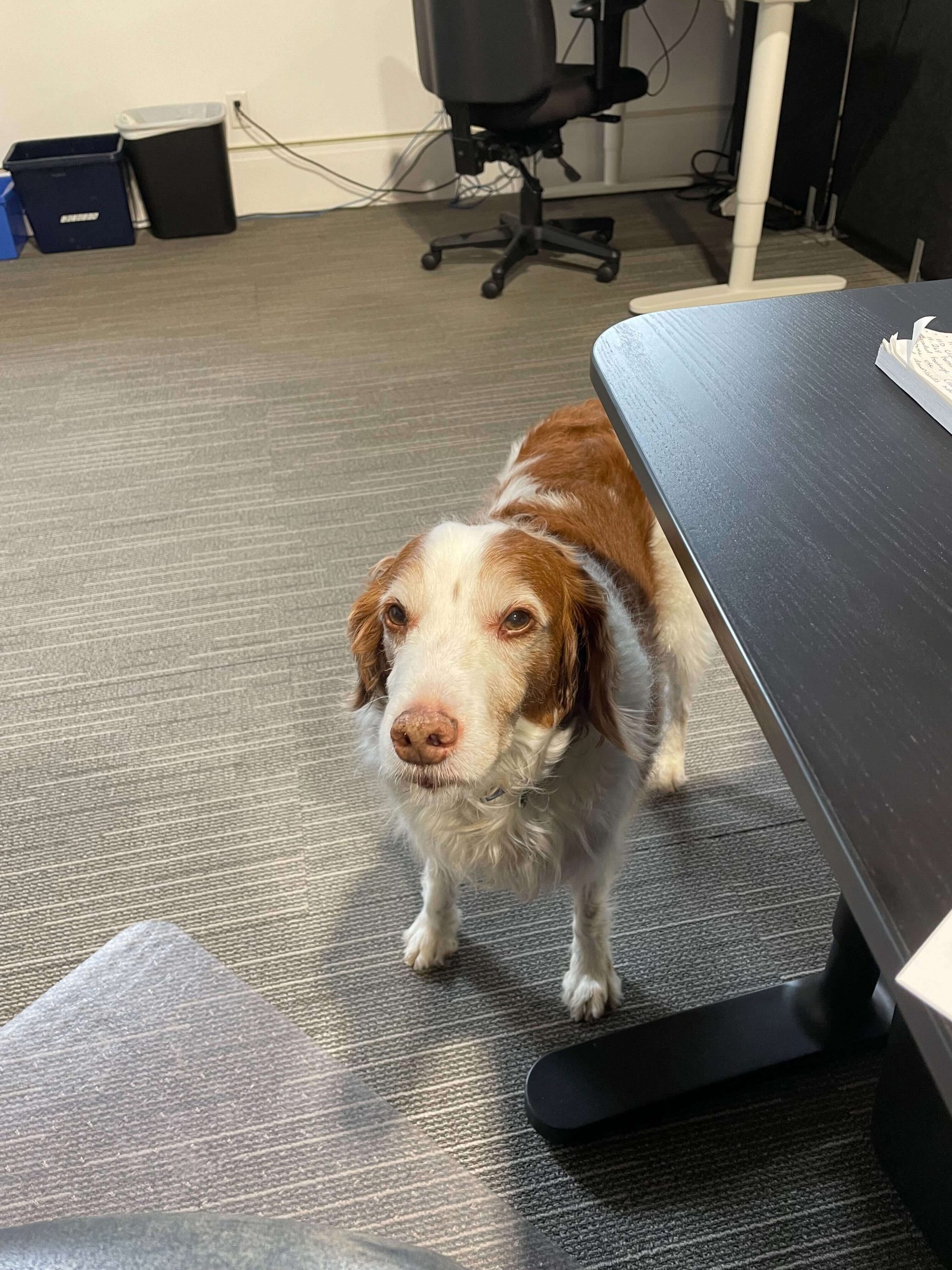 The Marketing Department (TMD) | Working At TMD